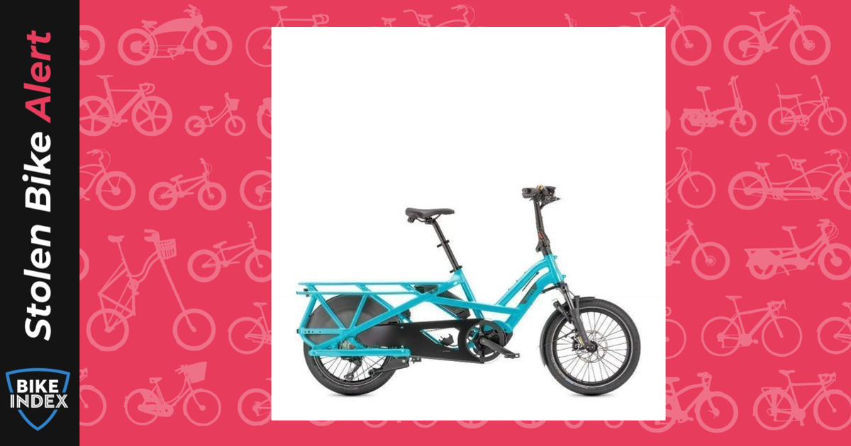 Stolen 2018 Tern GSD