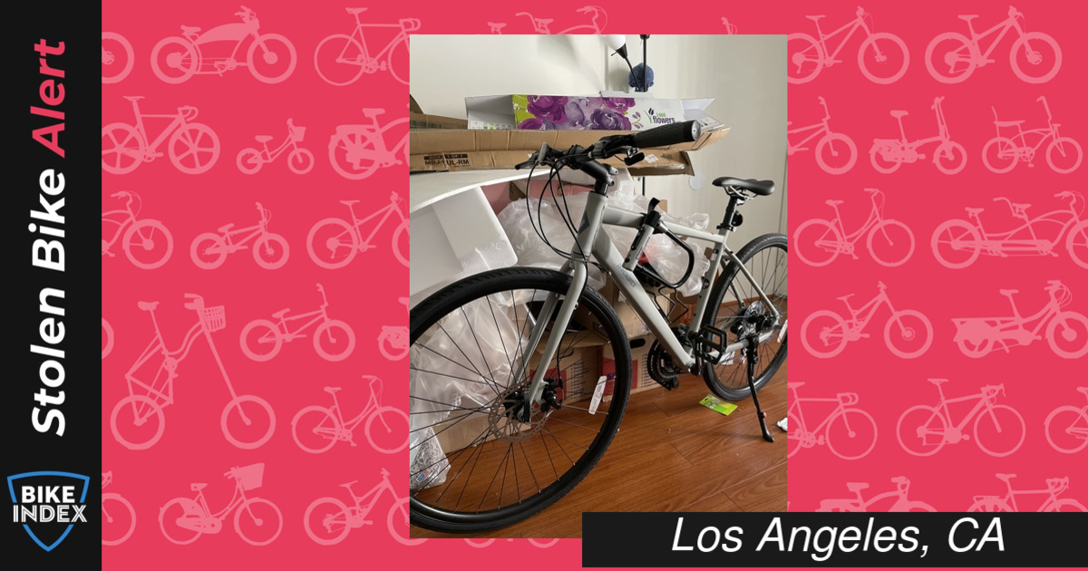 Stolen 2021 Diamondback Metric 2