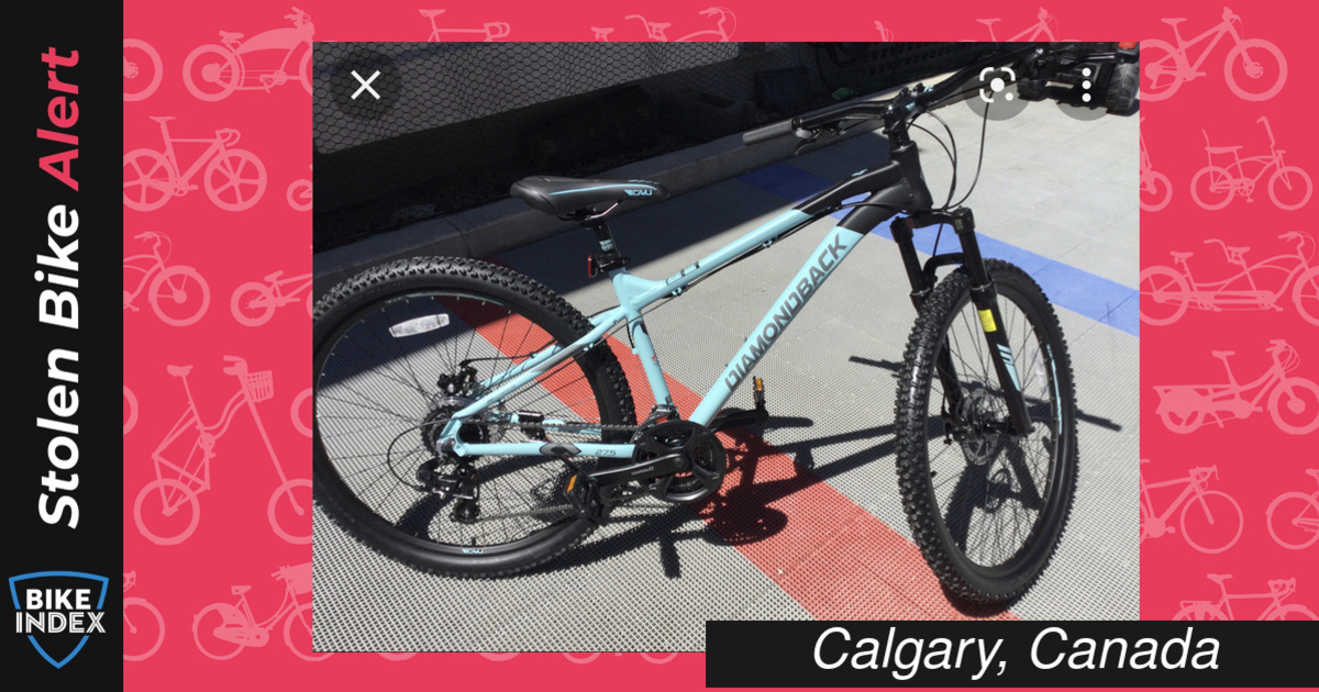 Stolen 2022 Diamondback EXPRESSO
