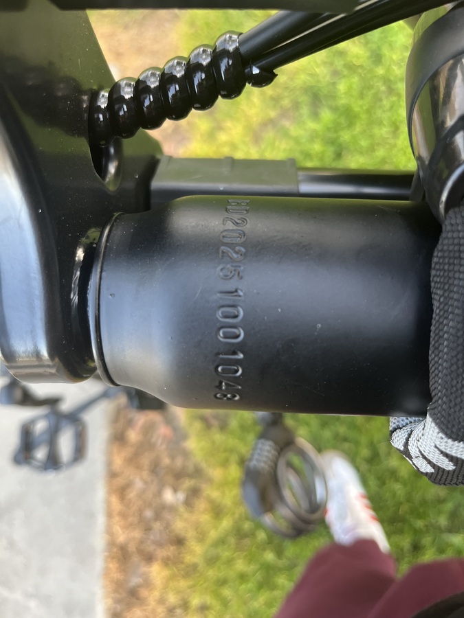 Stolen 2026 Volt Vogue VVBK20