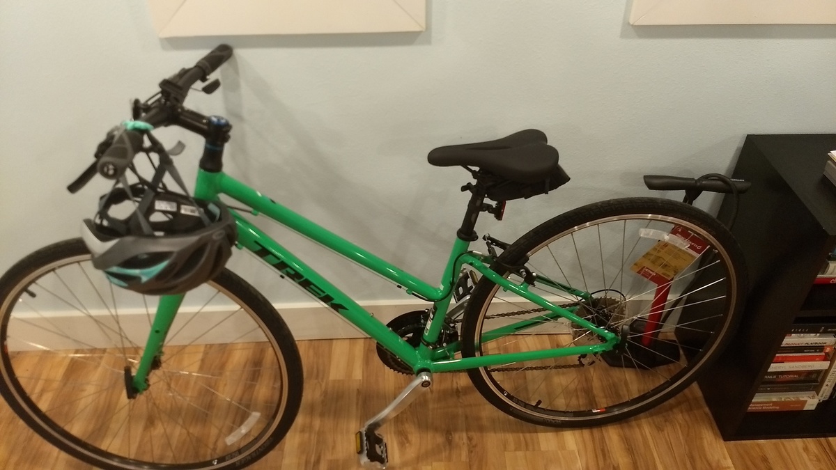 2017 Trek FX 2