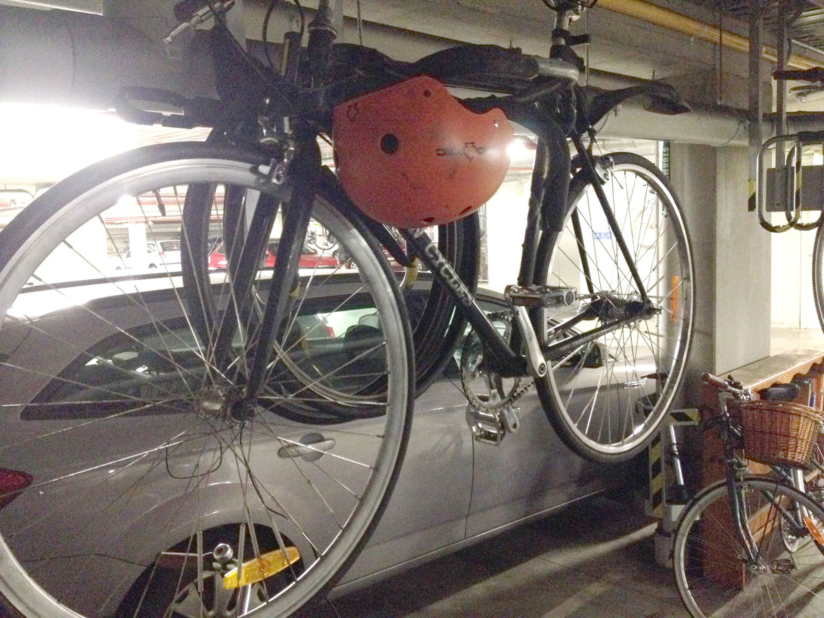 Stolen 2014 Samson Road Bike