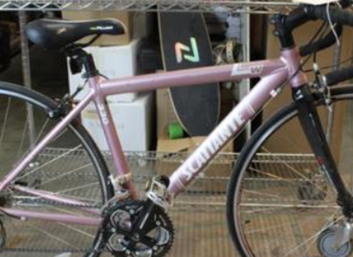2010 Scattante W-330 XL