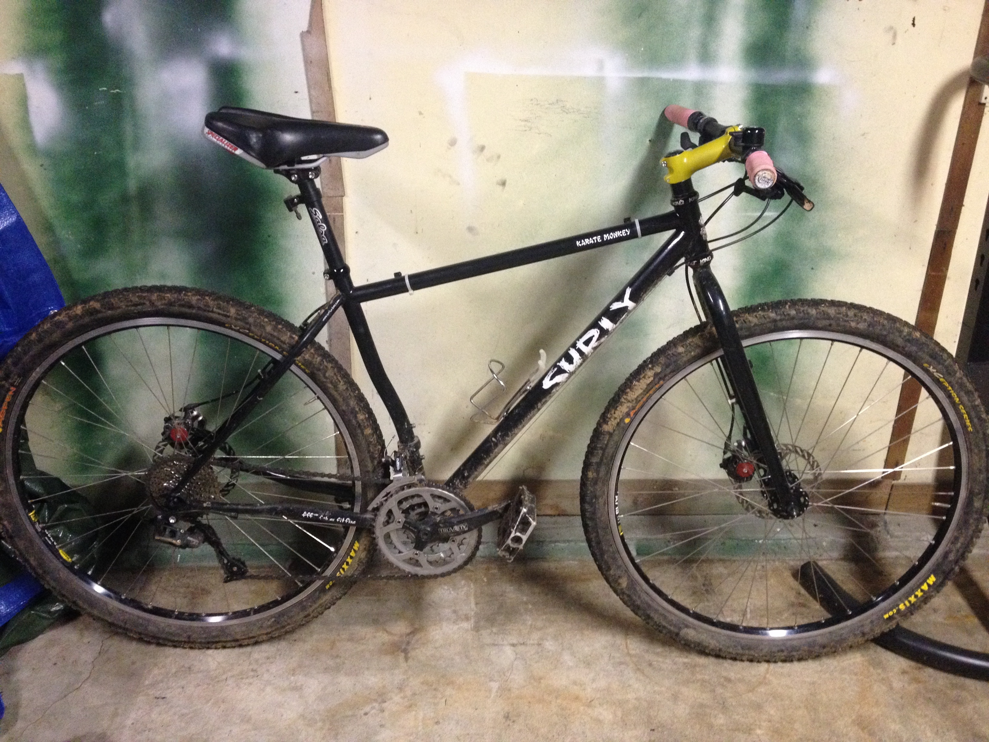 2010 Surly Karate Monkey