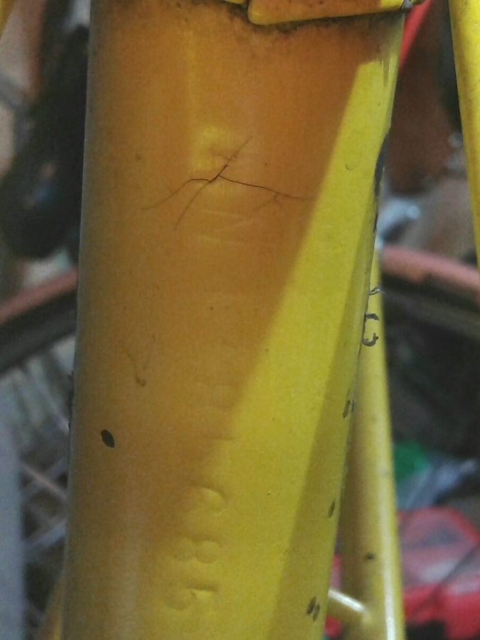 1974 Raleigh Mixte