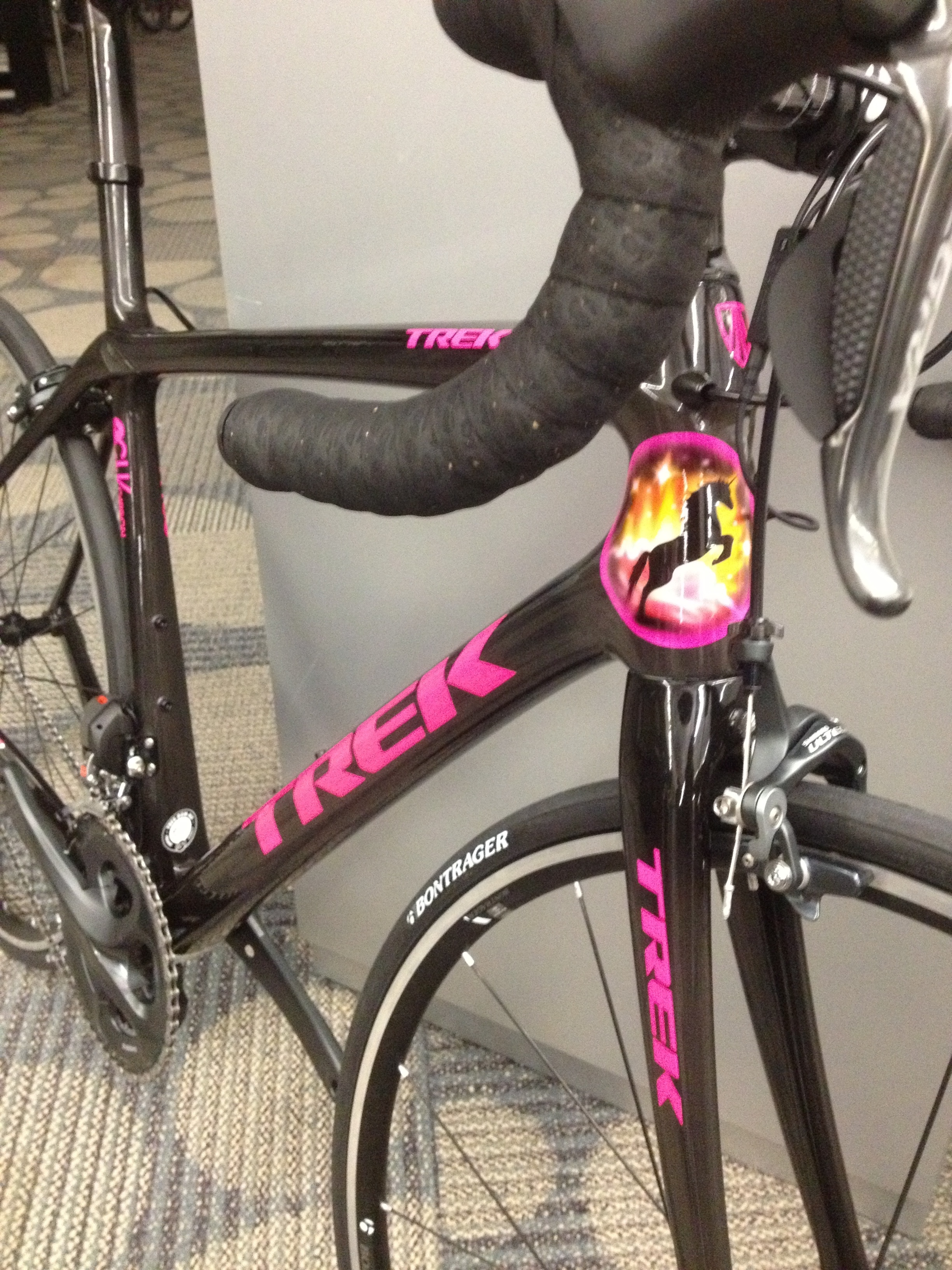 Stolen 2012 Trek DOMANE