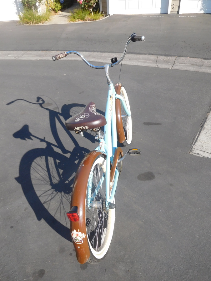 2010 Nirve Lahaina 3-speed