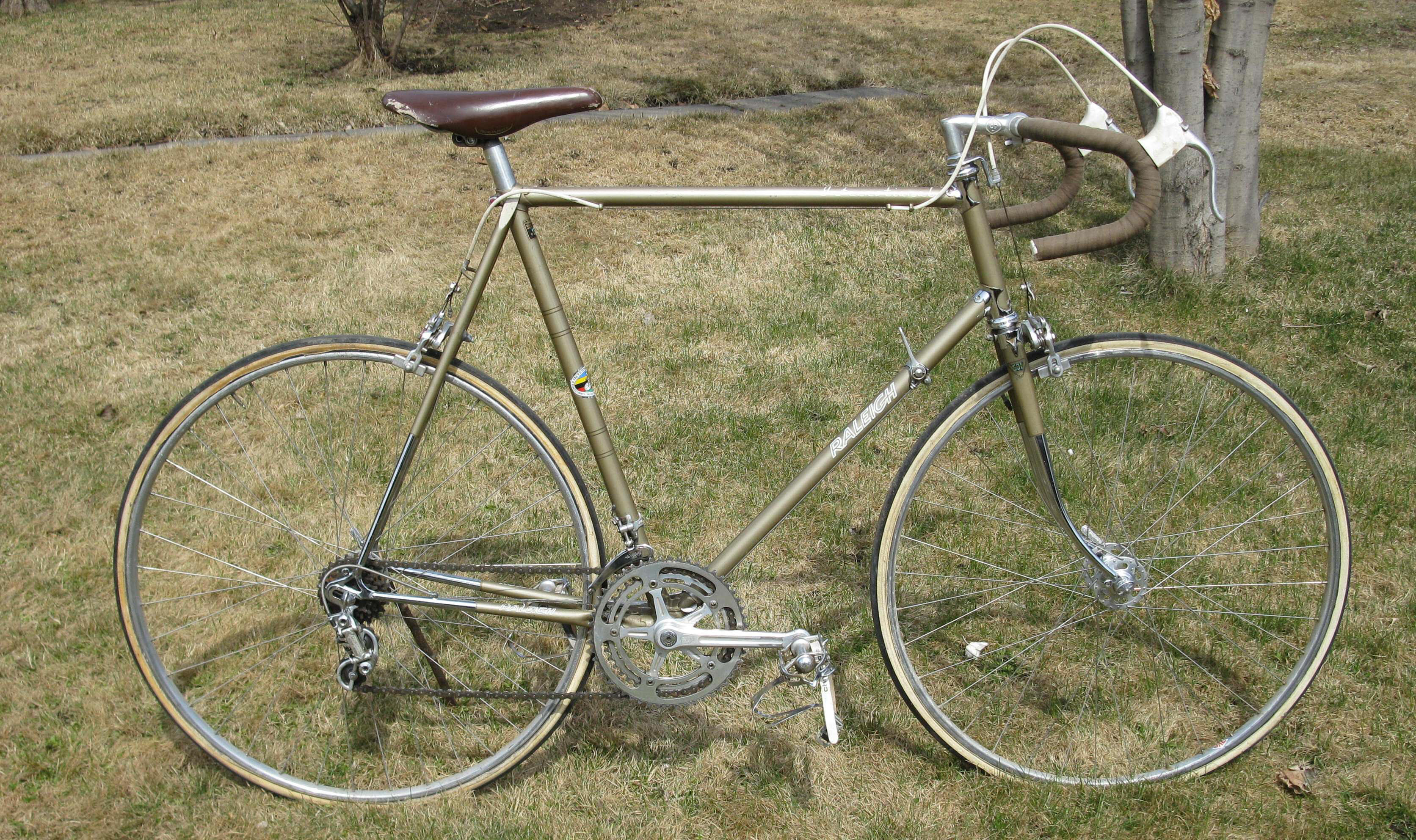 Stolen 1973 Raleigh International