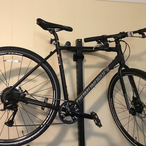 2017 Diamondback Haanjo Metro
