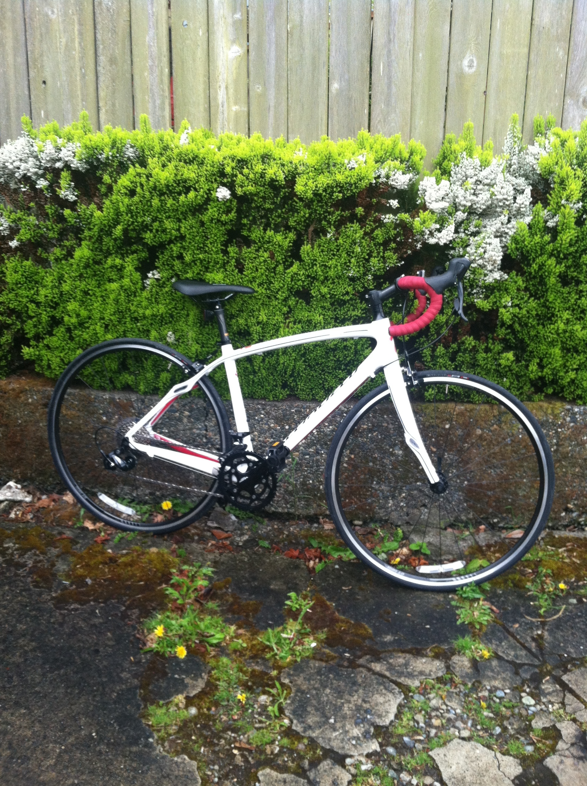 Stolen 2013 Specialized SBC Ruby CD - 13