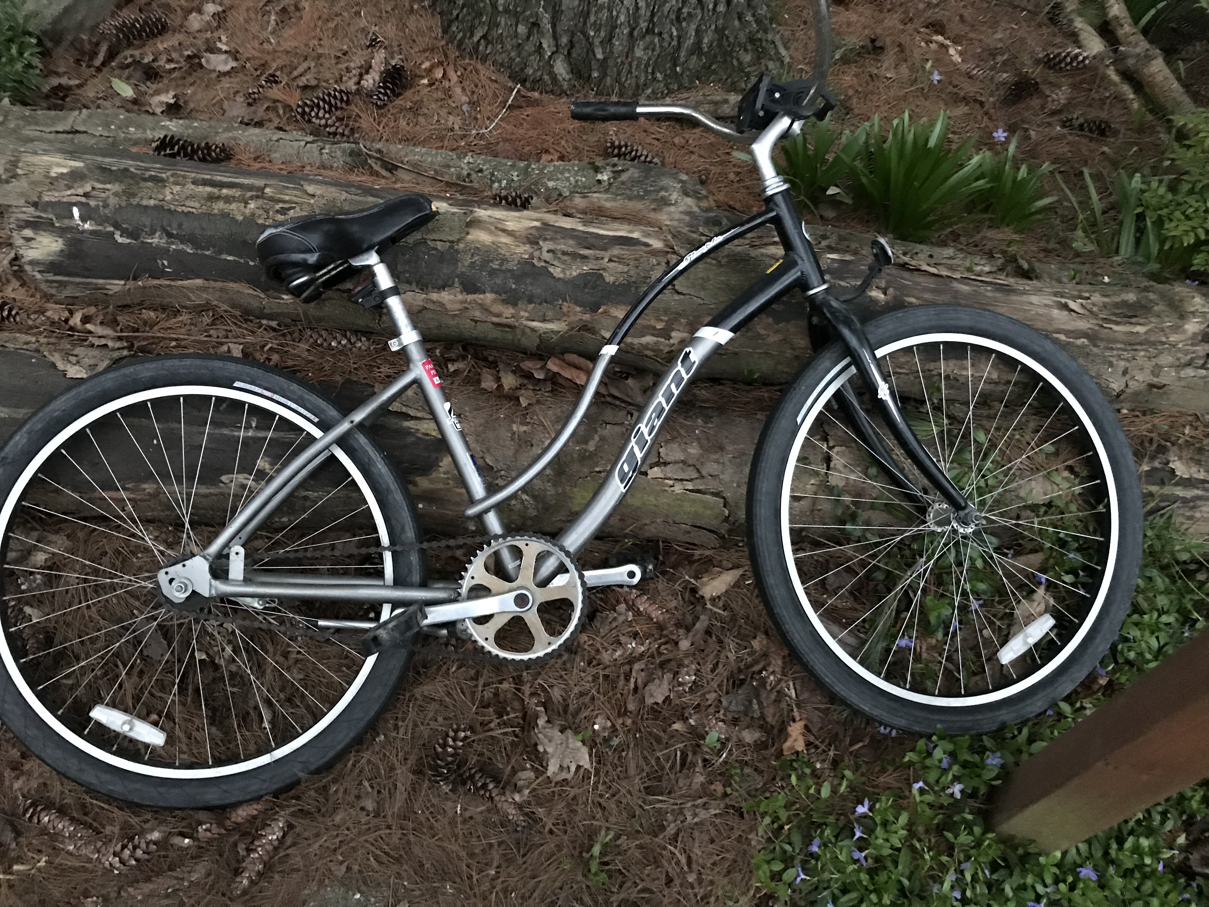 Stolen Giant Simple Single Silver