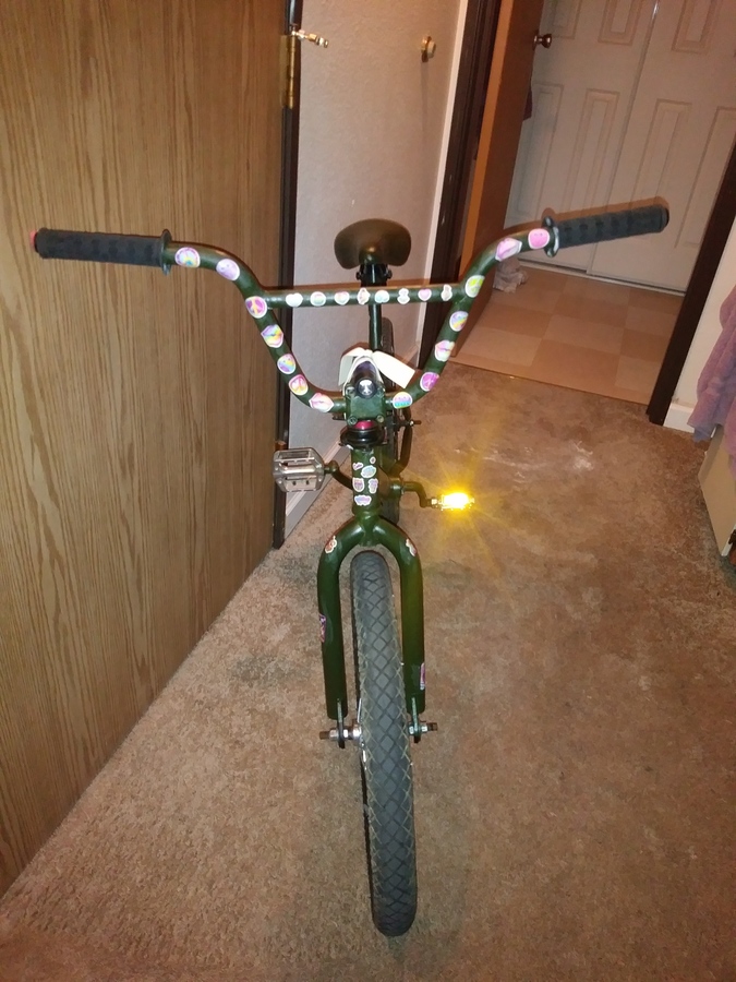 2017 Mongoose Brawler Pro