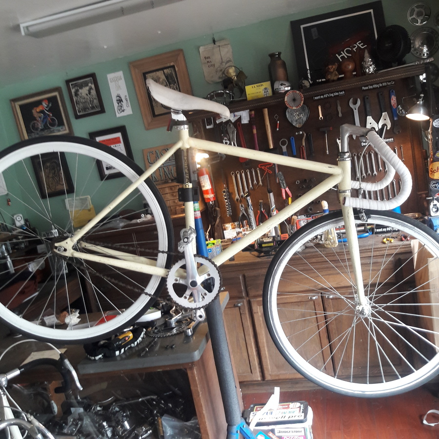 2011 Critical Cycles Fixie