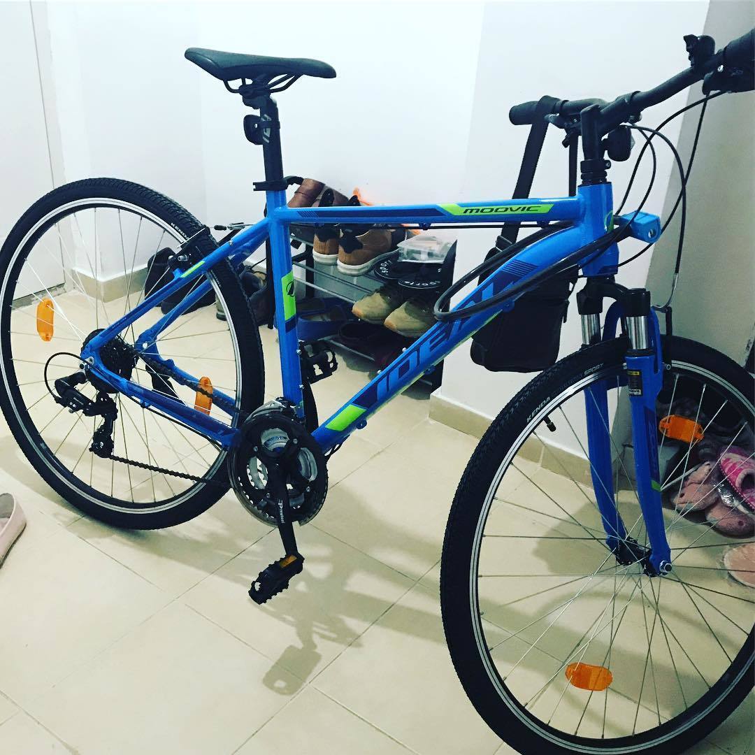 Stolen 2018 Ideal Bikes Moovic