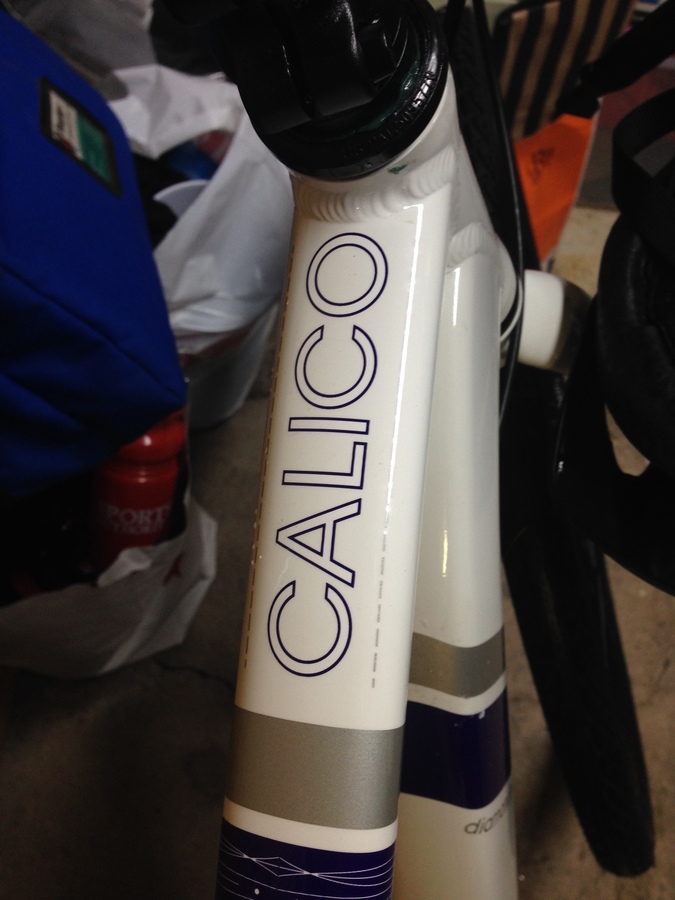 2015 Diamondback Calico