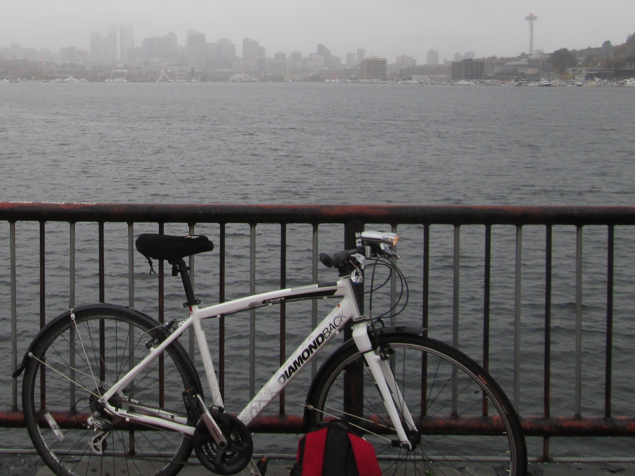 2012 Diamondback Insight