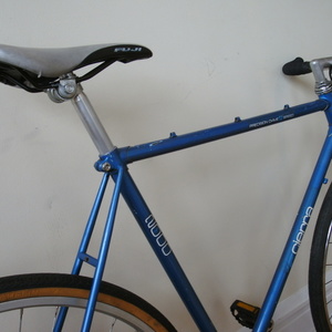 Stolen Cierra Precision Drive 12 Speed