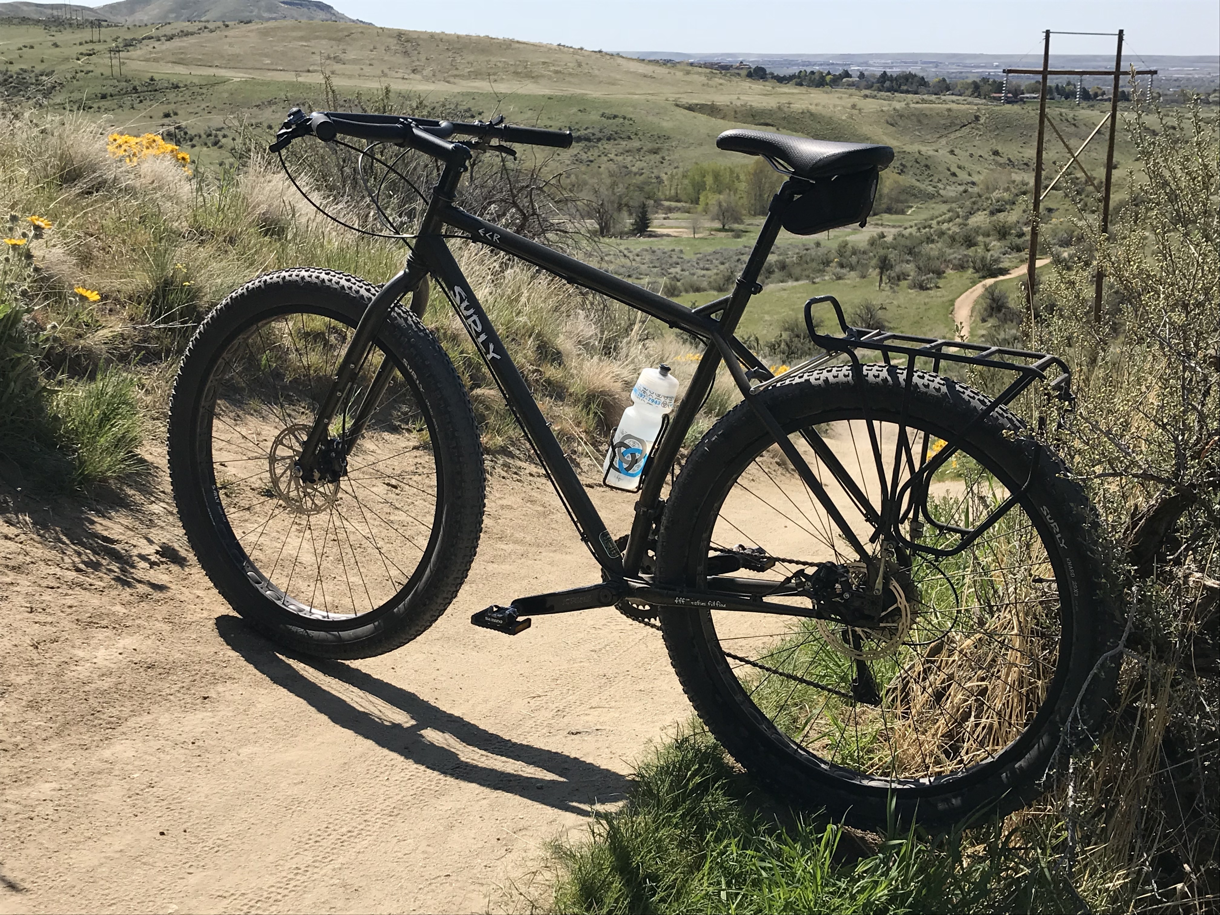 2014 Surly ECR
