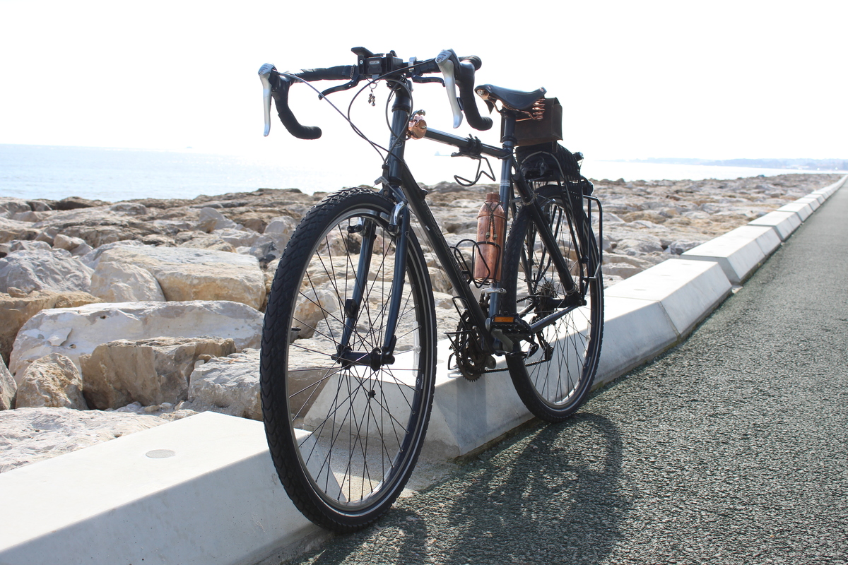 2008 Ridgeback Ridgeback Panorama World Tour