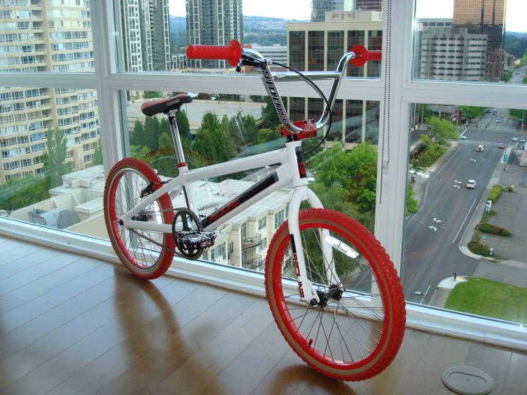 2011 Redline Proline Pro XL