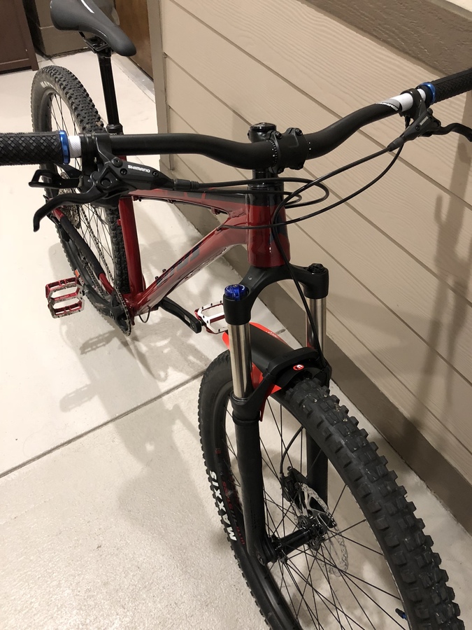 Stolen 2018 Vitus Sentier 29”