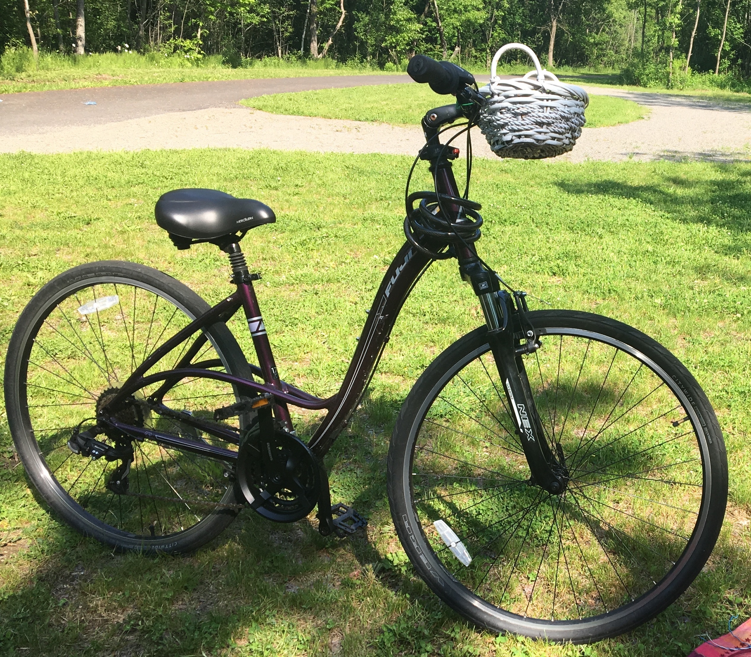 Stolen Fuji Female Cruiser Frame