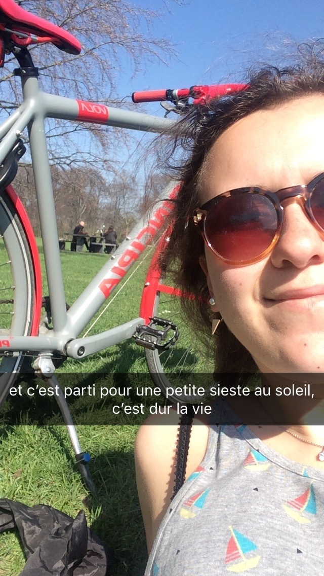 Stolen Principia Vola