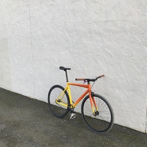 Stolen Trek Custom Fixed Gear