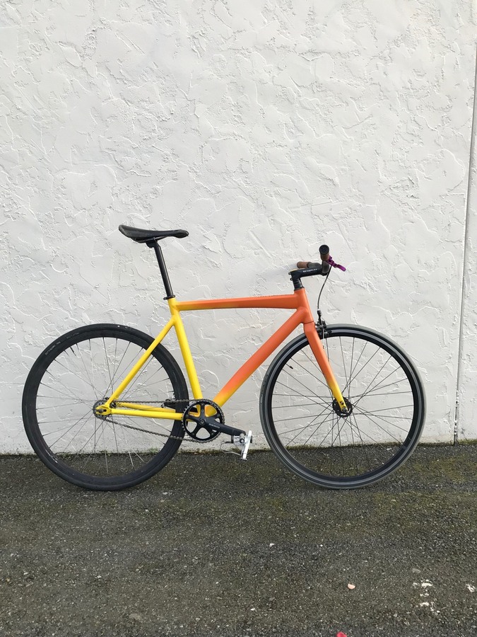 Stolen Trek Custom Fixed Gear