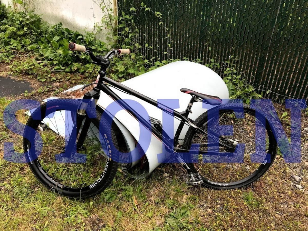 Stolen Atomlab low frame