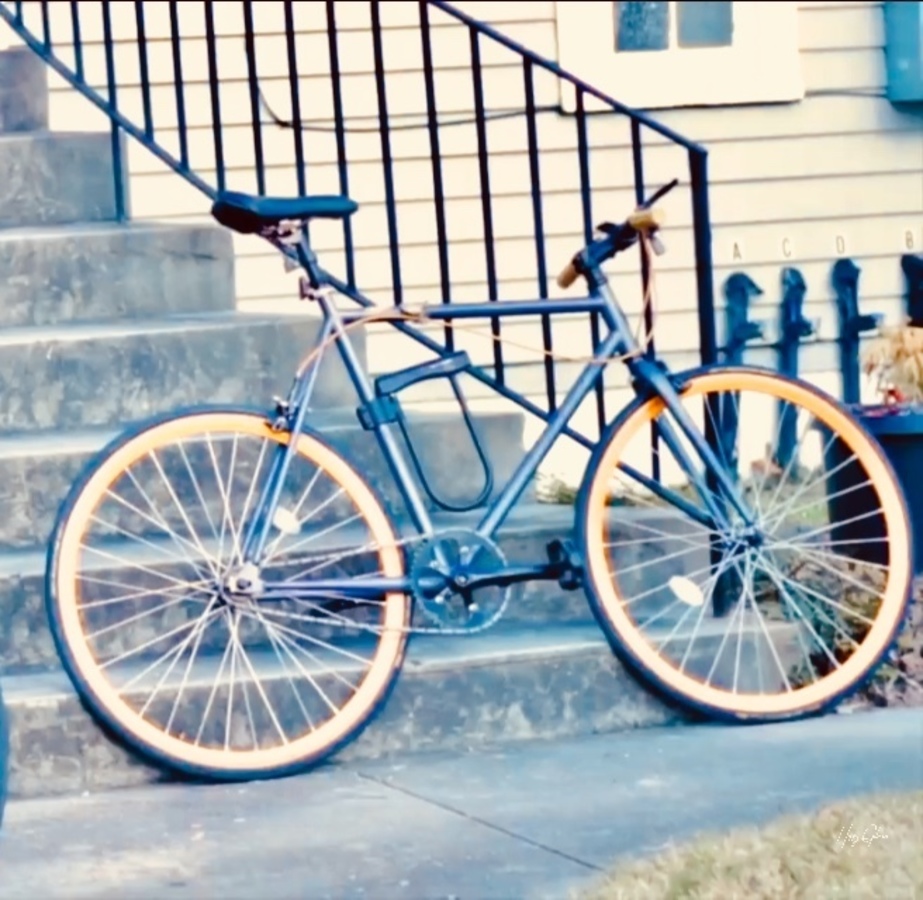 2016 Vilano Fixie single speed