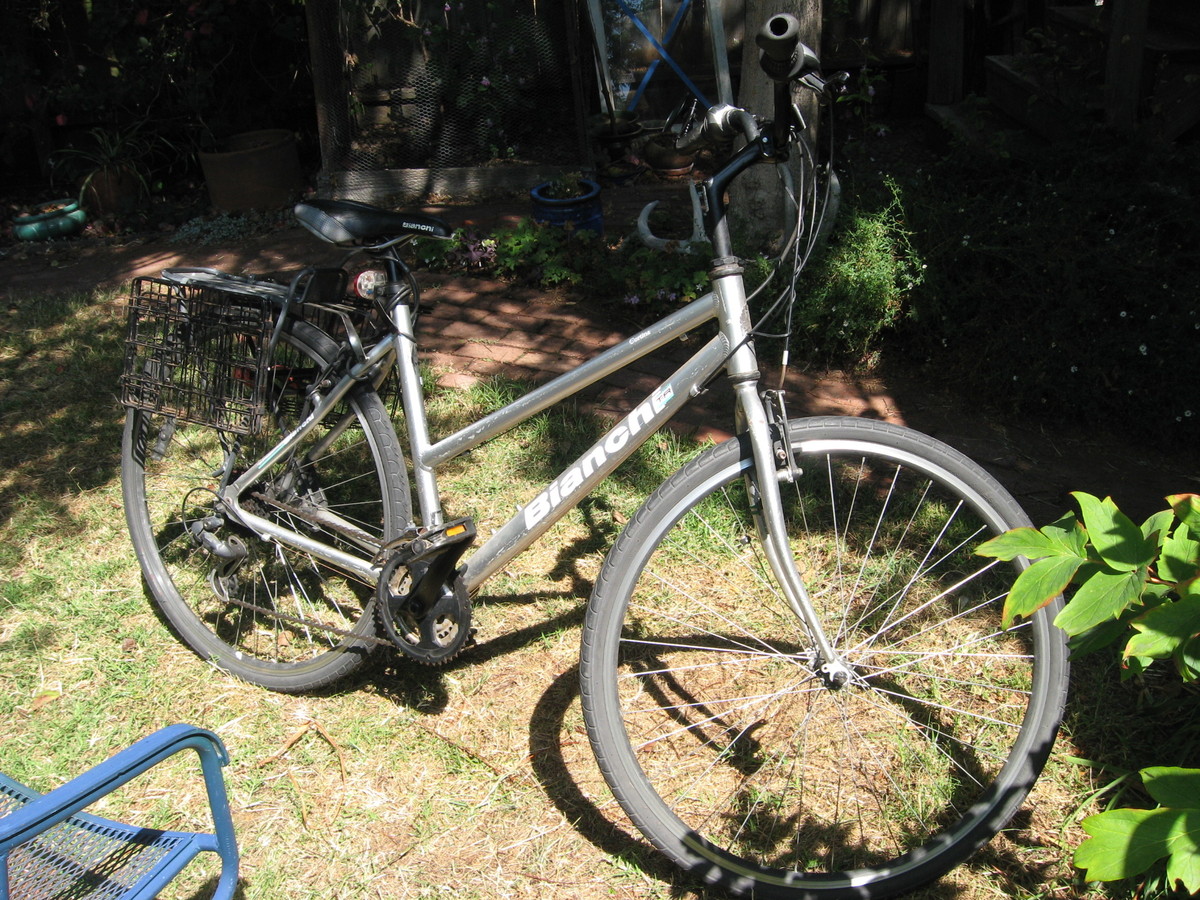 2008 Bianchi Cortina