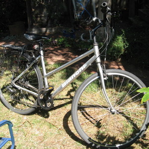 2008 Bianchi Cortina