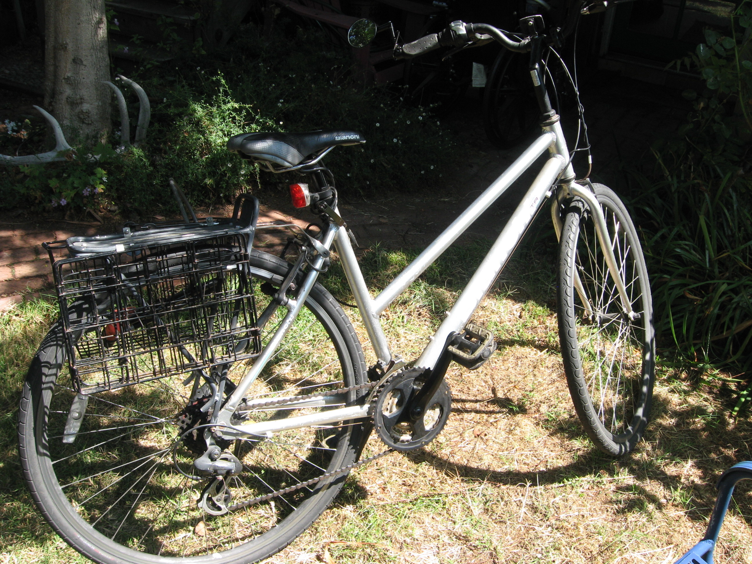 2008 Bianchi Cortina