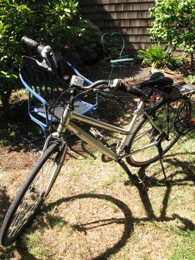 2008 Bianchi Cortina