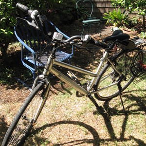 2008 Bianchi Cortina