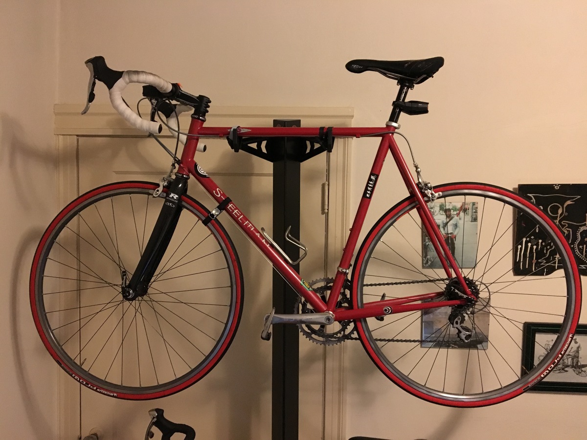 Stolen 2001 Steelman Cycles Stage Race