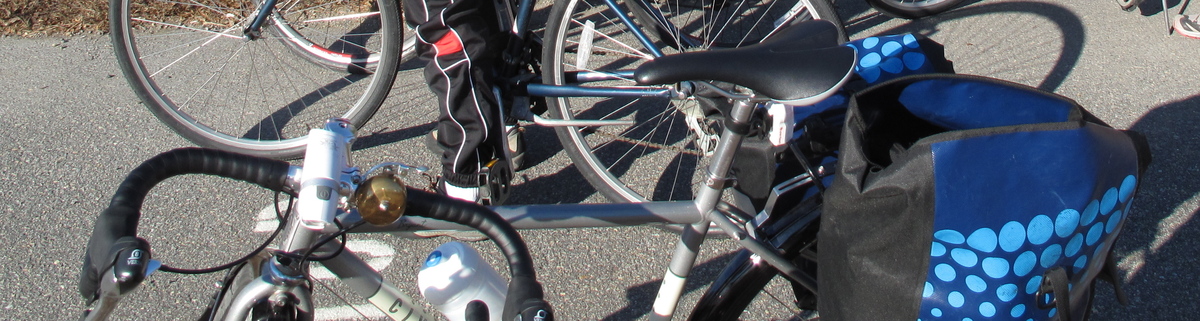 Stolen 2011 Civia Bryant