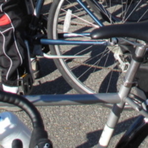 Stolen 2011 Civia Bryant