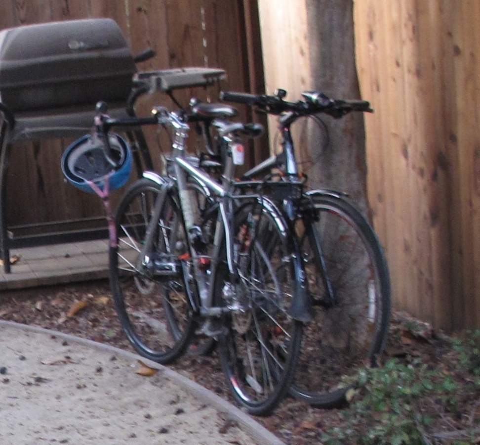 Stolen 2011 Civia Bryant