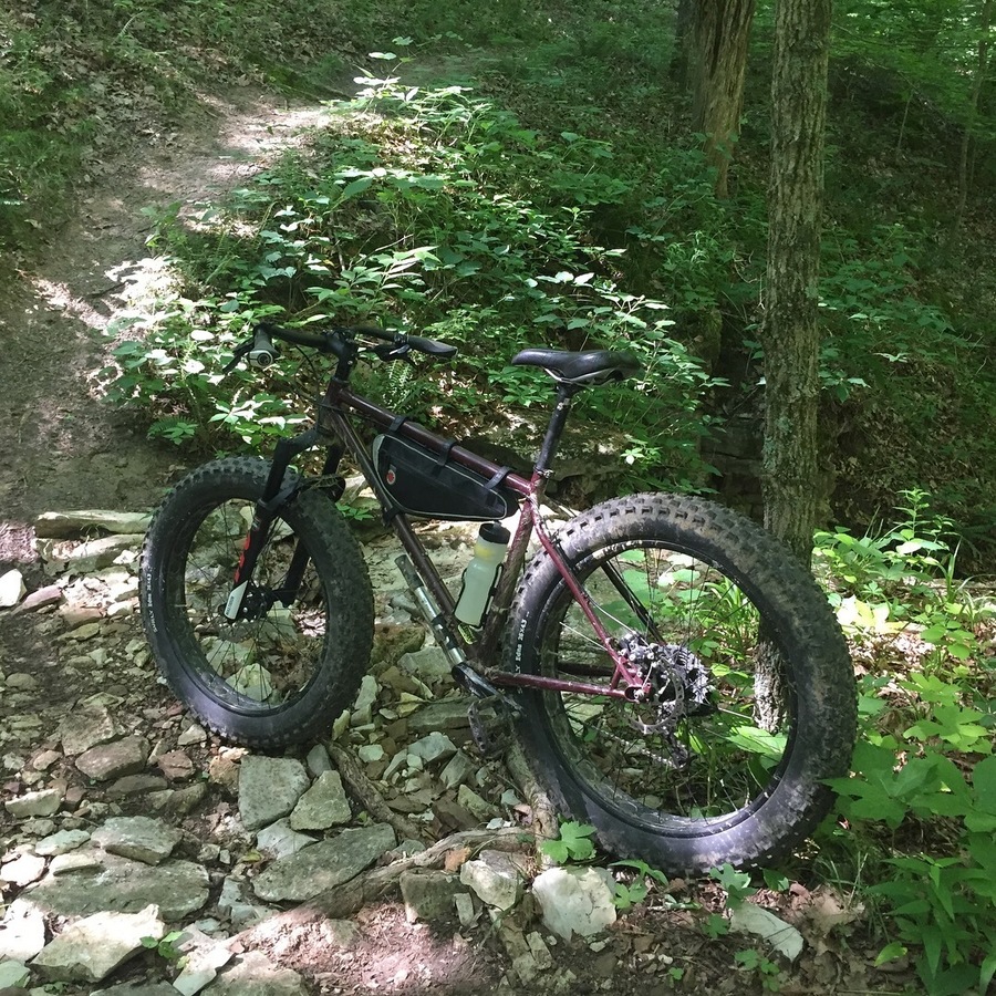 2016 Surly Wednesday