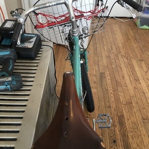 2016 Rivendell Bicycle Works Hunqapillar