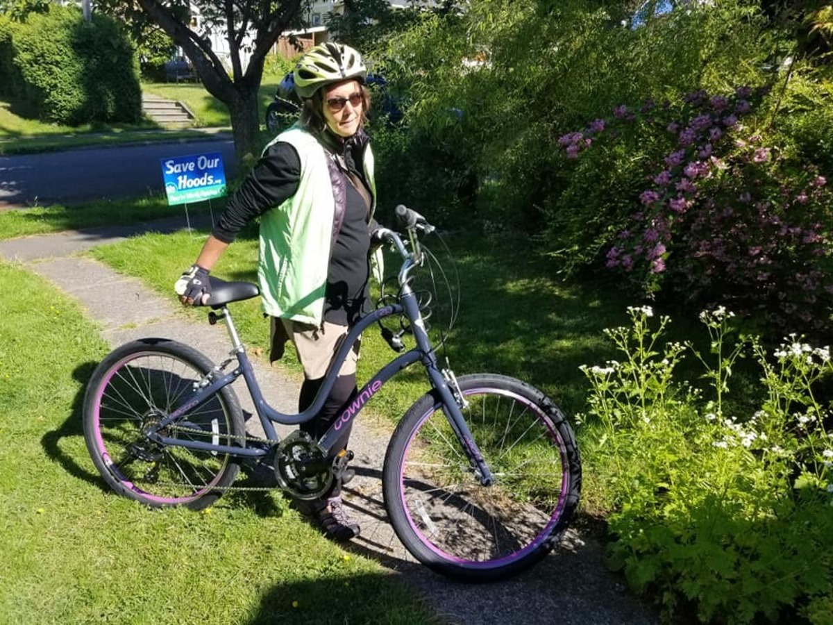 2018 Electra Townie Step-Through 21D (original)