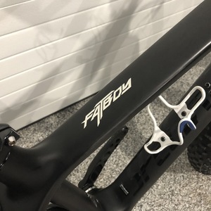 2016 Specialized Fatboy