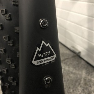 2016 Specialized Fatboy