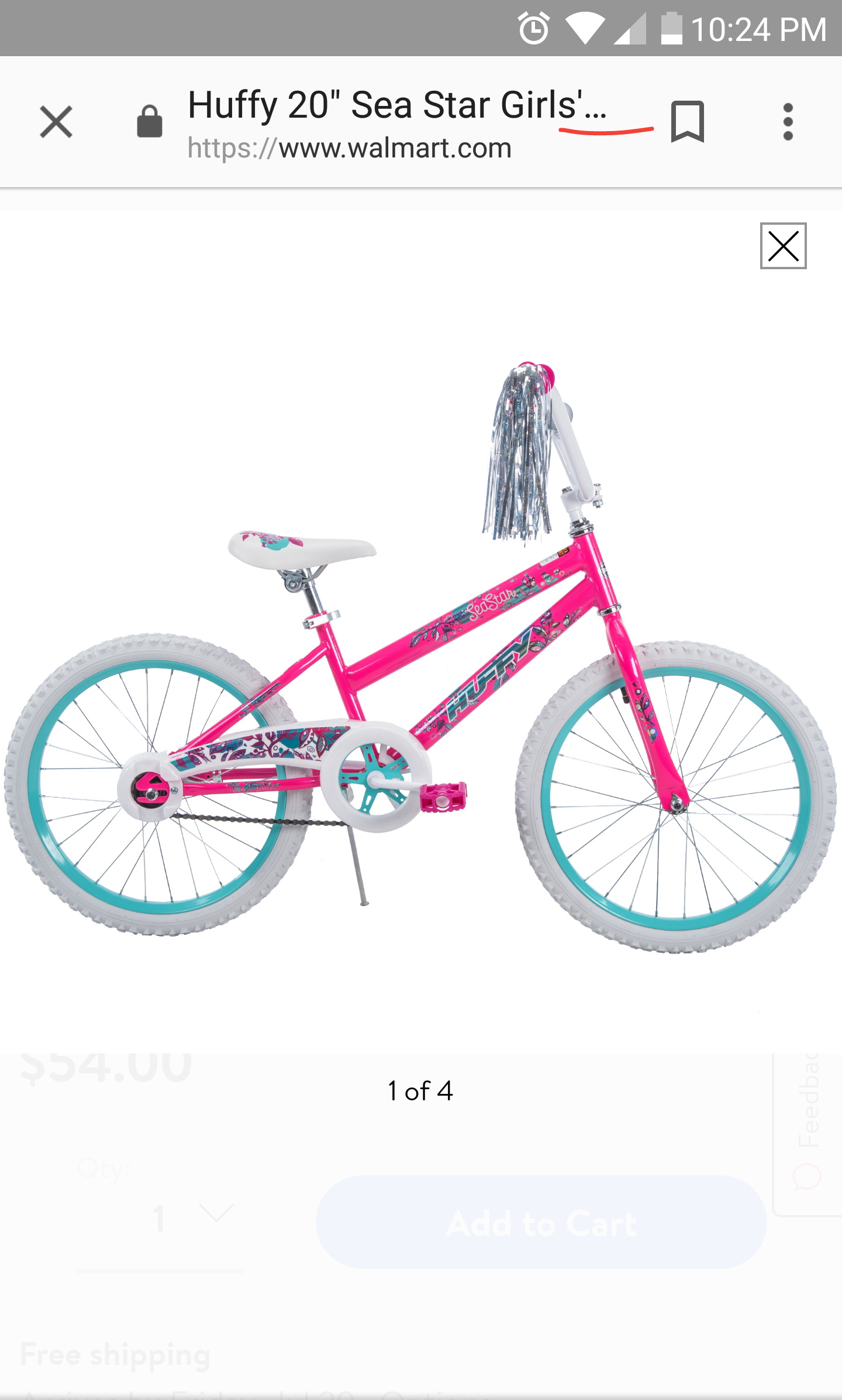 Stolen 2017 Huffy 20" Sea Star