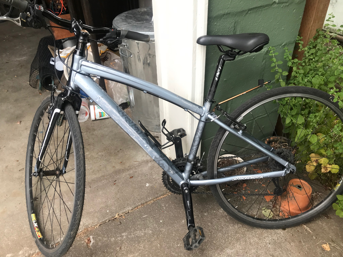 2010 Diamondback Insight RS