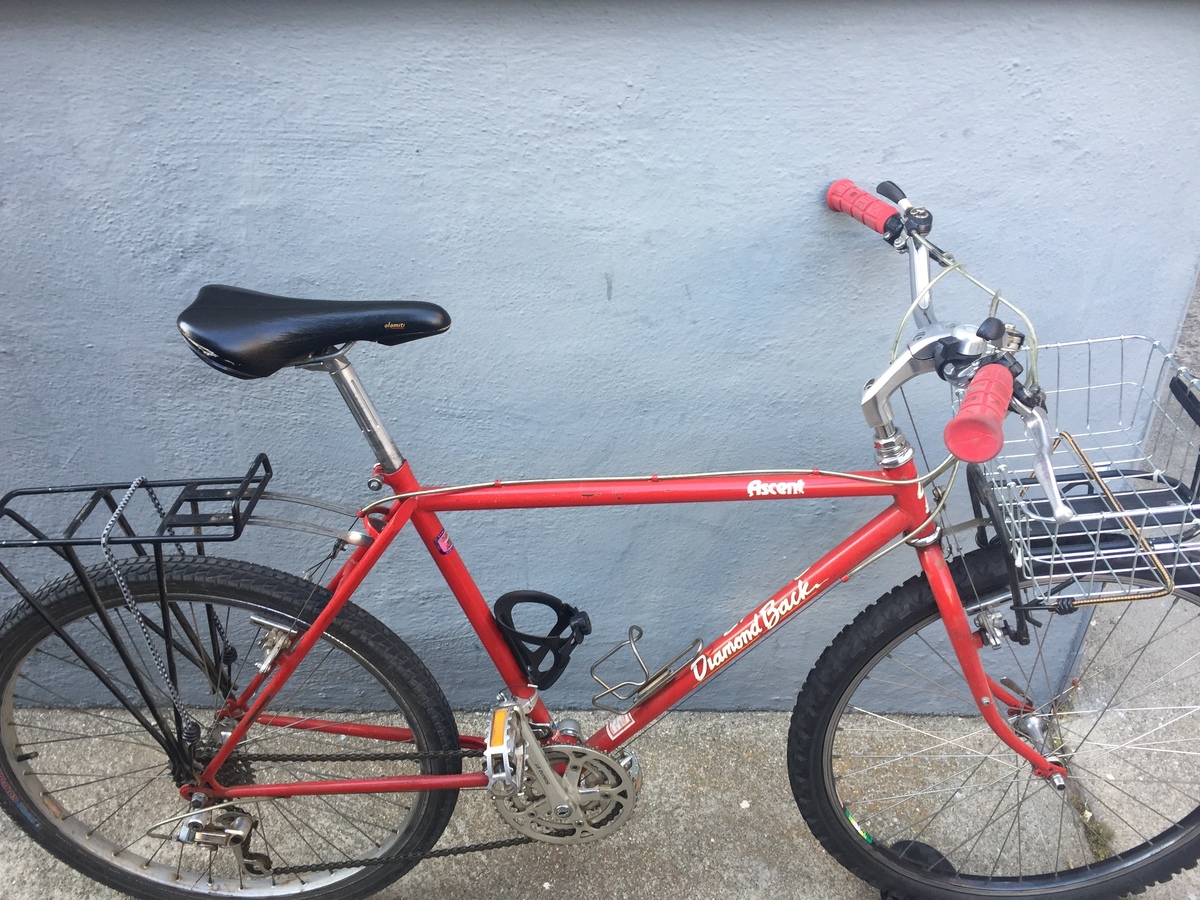 Diamondback Ascent