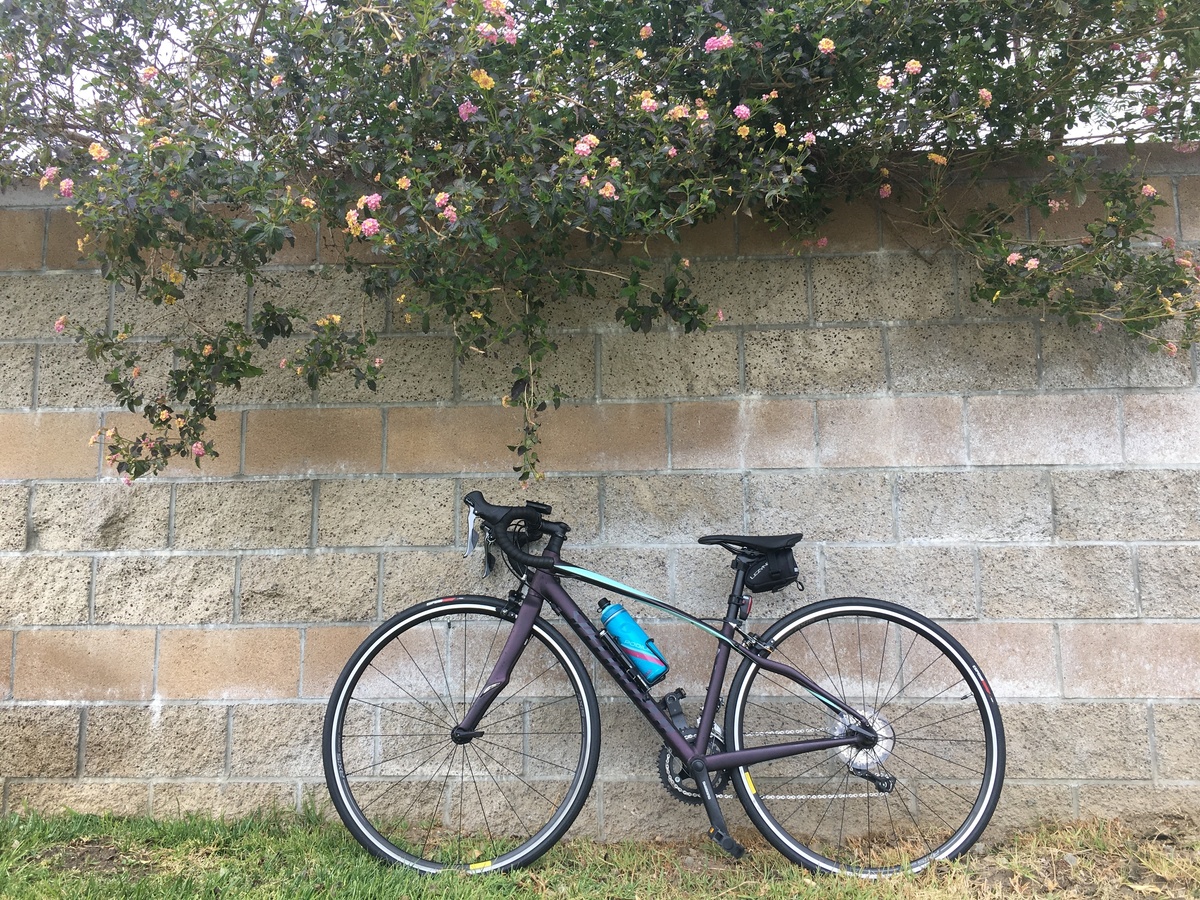 2017 Specialized Dolce