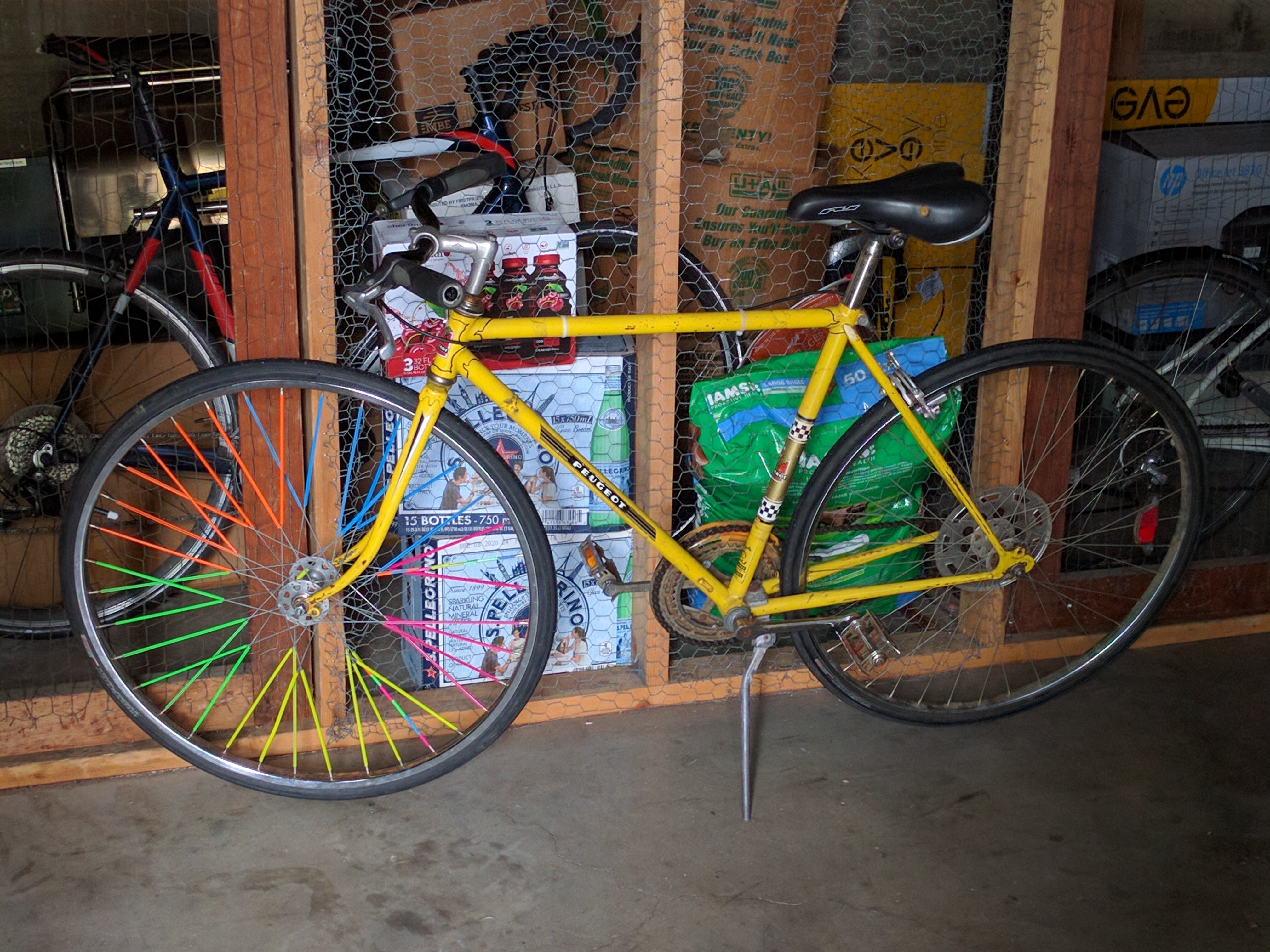 1969 Raleigh International
